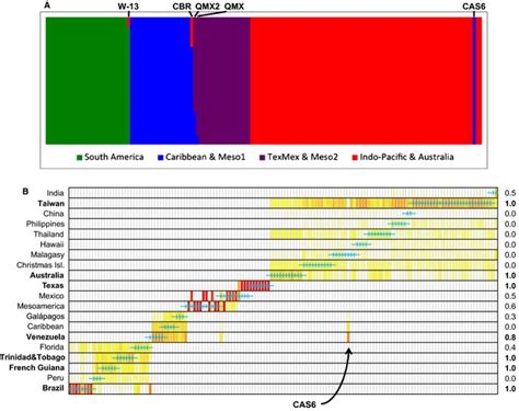 cluster assignment and admixture proportions as inferred by a