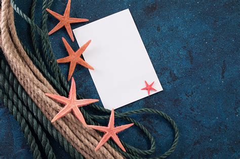 스타 물고기 진한 파란색 배경에 해양 로프와 여름 시간 바다 휴가 배경 개념에 대한 스톡 사진 및 기타 이미지 개념 공란 껍데기 Istock