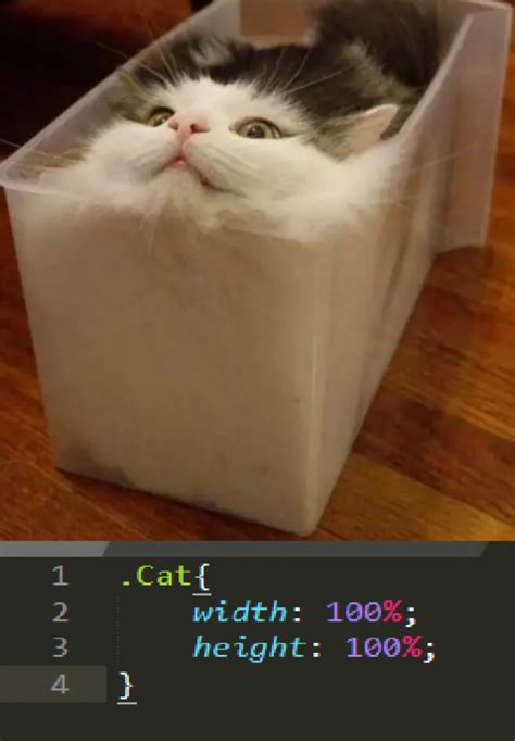 Css Cat