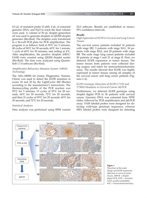 Highly Sensitive Droplet Digital Pcr For The Detection Of Egfr G719s And T790m Mutations In