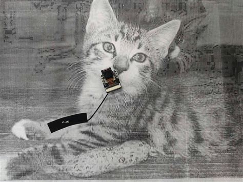 Cat Object Detection Based On Xiao Esp32