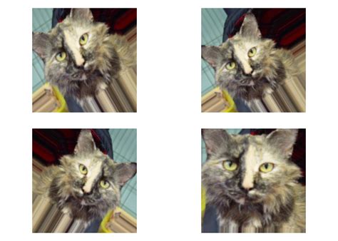 Chapter 4 Deep Learning For Computer Vision Computer Vision With R And Keras