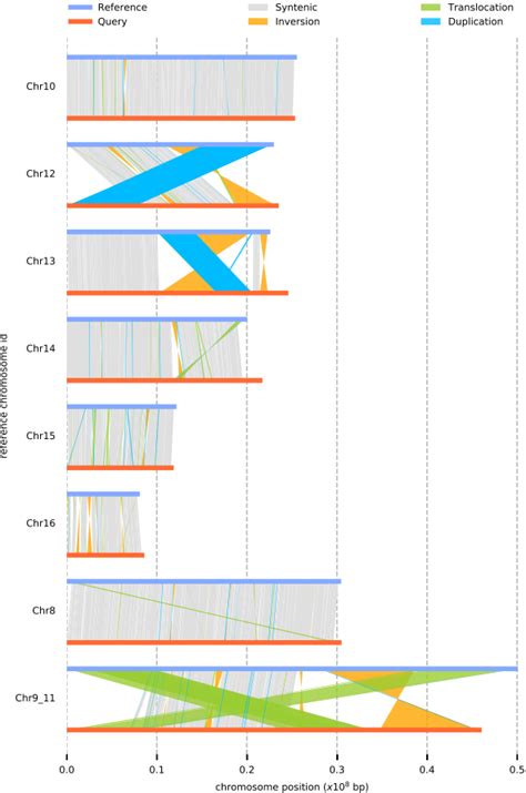 Analysing Split And Fusion Genomes Issue Schneebergerlab Syri GitHub