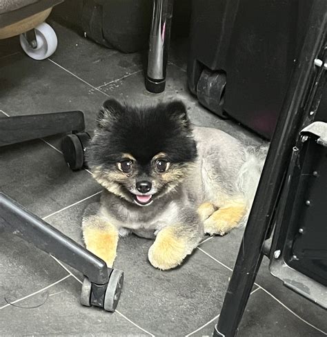 Tw Pornstars Tabitha Lyons Twitter Seriously How Am I Meant To