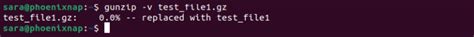 Gunzip Command In Linux With Examples Examples