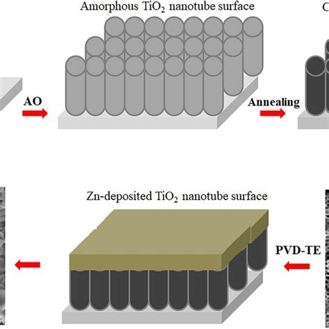 Schematic Representation Of Fabrication Of Zno Based Tio2 Nanotube Download Scientific Diagram
