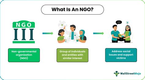 Non Governmental Organization