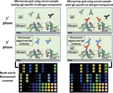 The Use Of Microarray And Other Multiplex Technologies In The Diagnosis