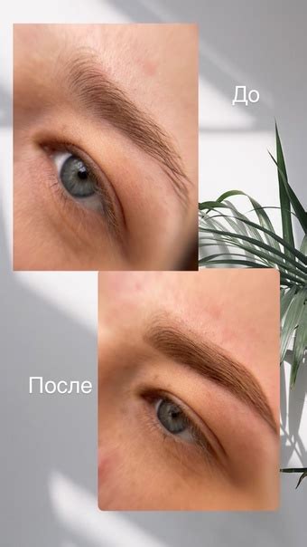 Привет я мастер бровист ️ Приглашаю вас в качестве модели на брови 懶 Коррекция бровей 2025