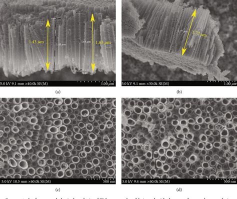 Figure 1 From Electrochemical Anodic Synthesis And Analysis Of Tio2 Nanotubes For Biomedical