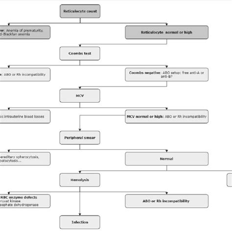 Neonatal Anemia Diagnostic Algorithm Download Scientific Diagram