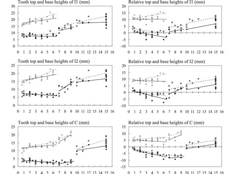 Patterns And Amounts Of Tooth Crypt Expansion And Eruption The
