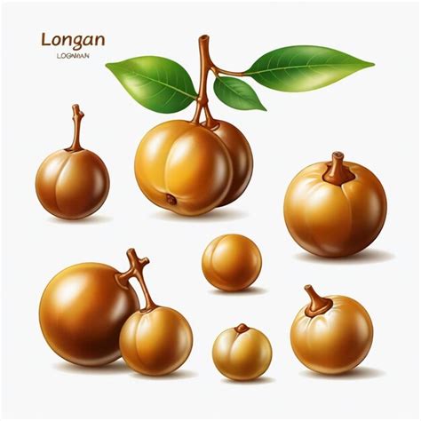 Longan Vector Set White Background Isolated Premium Ai Generated Vector