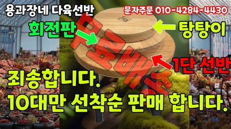 분갈이 필수품 10대한정 무료배송 다육이 선반 대박 이벤트 여름휴가 이벤트 진행합니다 Youtube