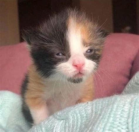 Alexander Berezovskyi On Linkedin Work Job Bug Bugfix Debug Fix