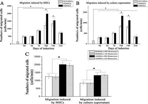 Asmscs Outperformed Hdmscs In Recruiting Monocytes During Osteogenic