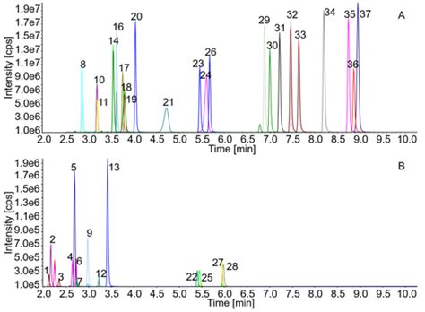 Generalized Dipeptide
