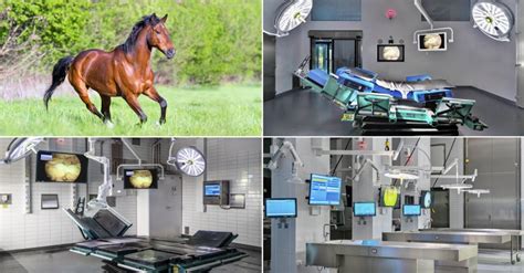 Marion Spegel Geb Faller Posted On Linkedin