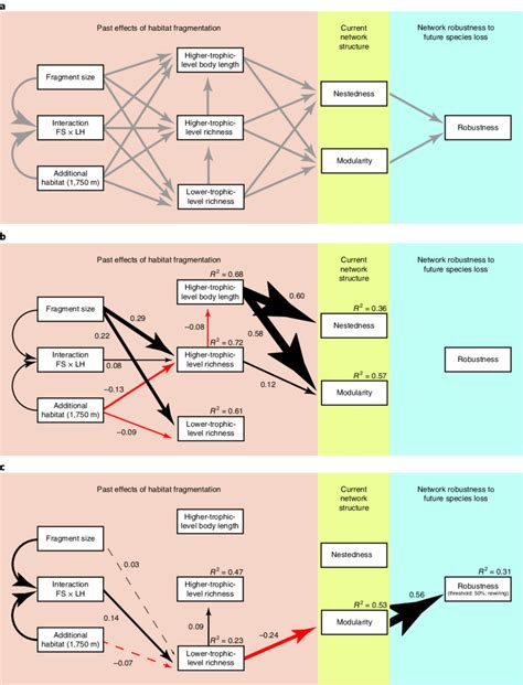 Sems Of The Effects Of Habitat Fragmentation On The Structure And
