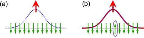llustration of the finite size effect for the mp a spin density