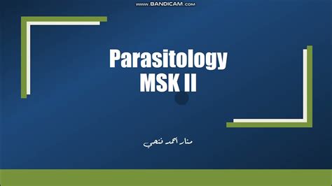 Para | MSK II 🍖 - YouTube