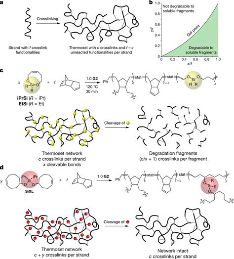 Thermosets Cross Linked Polymers At Elizabeth Simson Blog