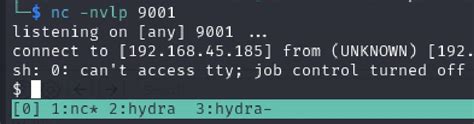 Solstice Ctf Writeup Wyeth Levi