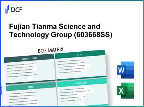 Fujian Tianma Science And Technology Group 603668ss Bcg Matrix Analysis Dcf Swot Canvas