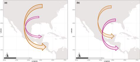 Typical Migration Patterns A Leapfrog Migration Pattern B Chain Download Scientific