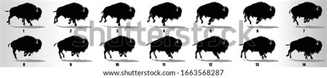 bison run cycle animation frames silhouette stock vector royalty free