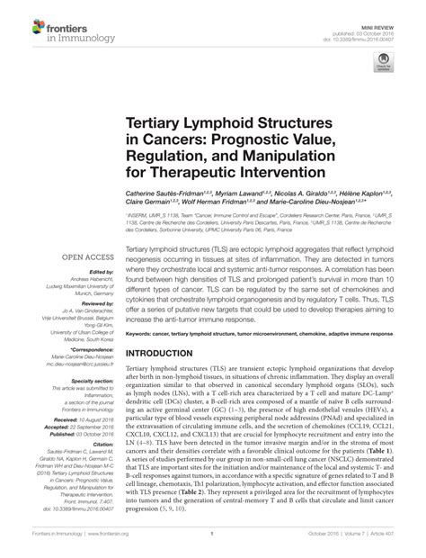 Pdf Tertiary Lymphoid Structures In Cancers Prognostic Value