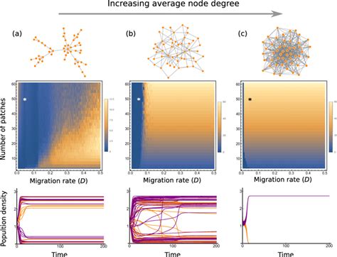 A Top Spatial Network For An Average Node Degree Equal To 1 Middle