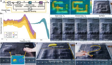 Closed Loop Feedback And Interactivity A Block Diagram Of The Download Scientific Diagram