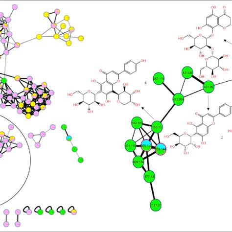 full molecular network realized using ms ms data from fractions d and h