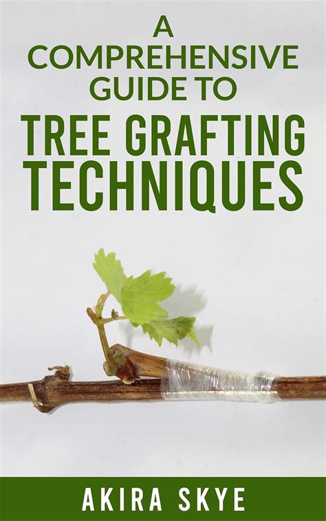 The Art Of Grafting A Comprehensive Guide To Tree Grafting Techniques