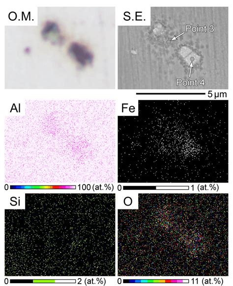 Optical Micrograph Sem Image And Eds Maps Of The Area Indicated By