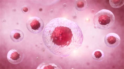 First 3d Map Of Glucose Metabolism Created In Cells Technology Networks