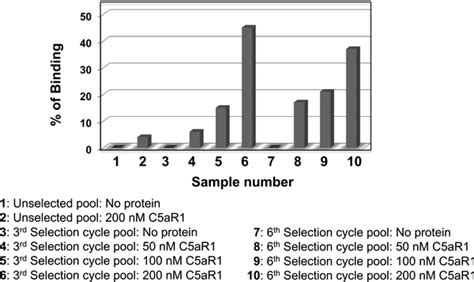 Rna Pools Binding To The Hc5ar1 Using The Filter Binding Assay