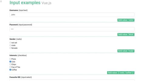 Input Examples Vuejs