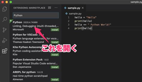 Visual Studio Codeでデバッグする方法 みゃふのPythonプログラミング解説
