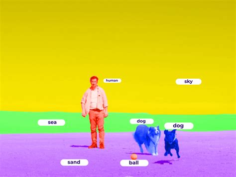 🟢 Semantic Segmentation Linkedai Annotation Hub