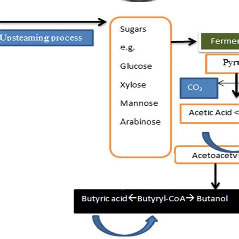 Acetone Butanol Ethanol Abe Fermentation On The Synthetic Medium By