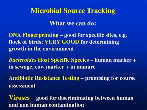 PPT Microbial Source Tracking In Lake Michigan PowerPoint Presentation ID