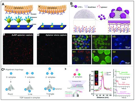 A Platform Of Multivalent Aptamer Nanospheres In Microfluidic Devices