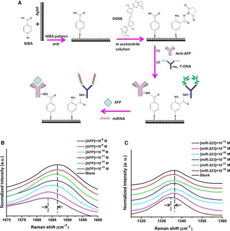 Dna Based Sensor For The Detection Of Micrornas And Protein A