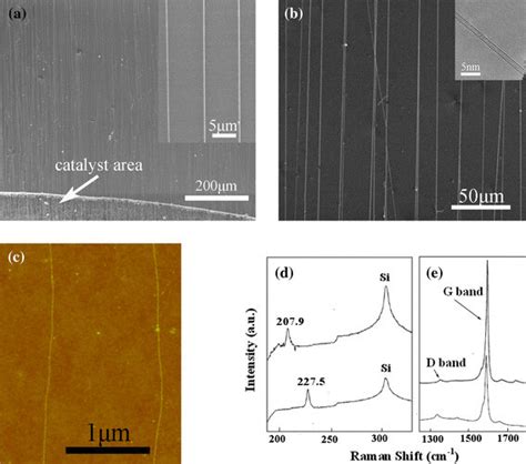a b sem image of well oriented swnt arrays on sio2 si wafer by