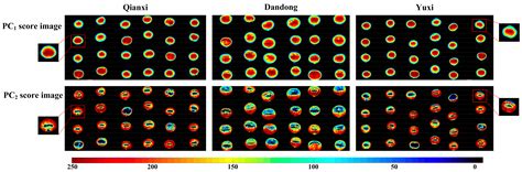 Agriculture Free Full Text Identification Of Geographical Origin Of Chinese Chestnuts Using