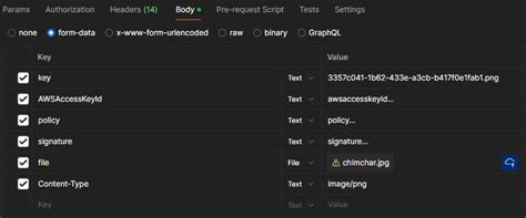 Setting Content Type To Objects Uploaded Via S3 Presigned Post Url Raws