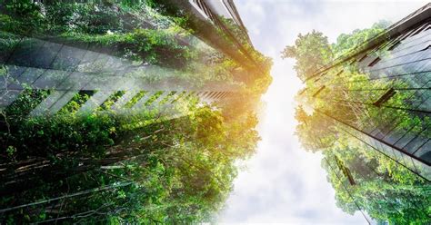 smart and sustainable cities what does it mean