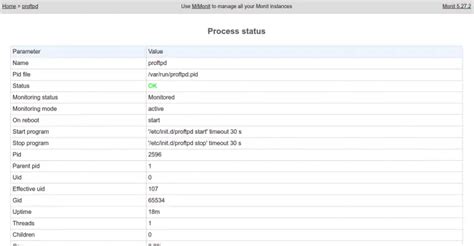 How To Install And Configure Monit On Debian 11